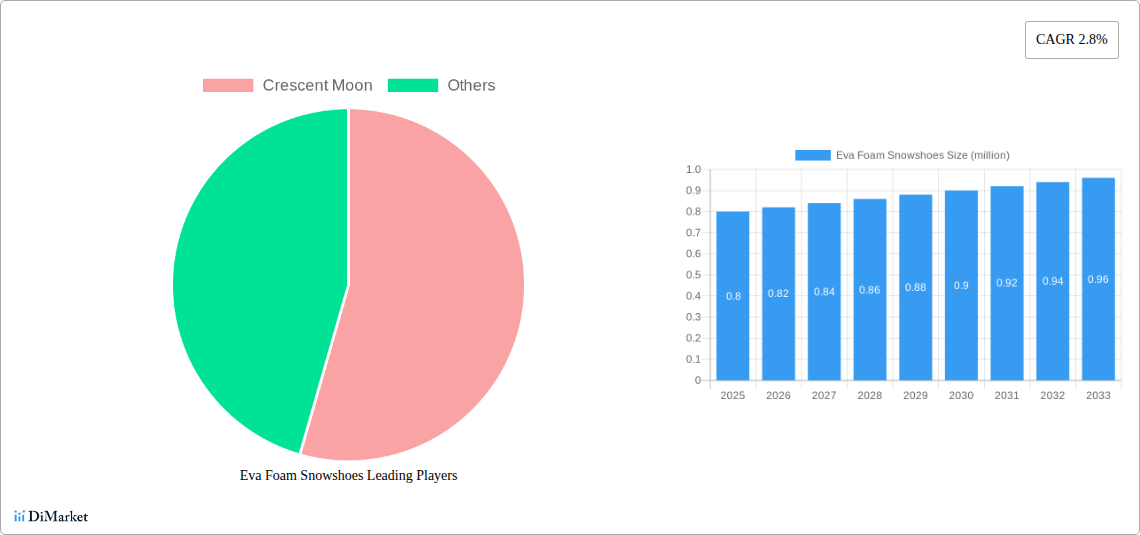 Eva Foam Snowshoes 2025-2033 Overview: Trends, Competitor Dynamics, and ...